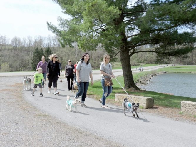 Dog Walk for Sexual Assault Awareness held at Sally Buffalo Park in ...